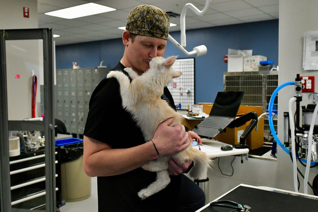 About Allied Veterinary Services - Twin Cities & Greater Minnesota