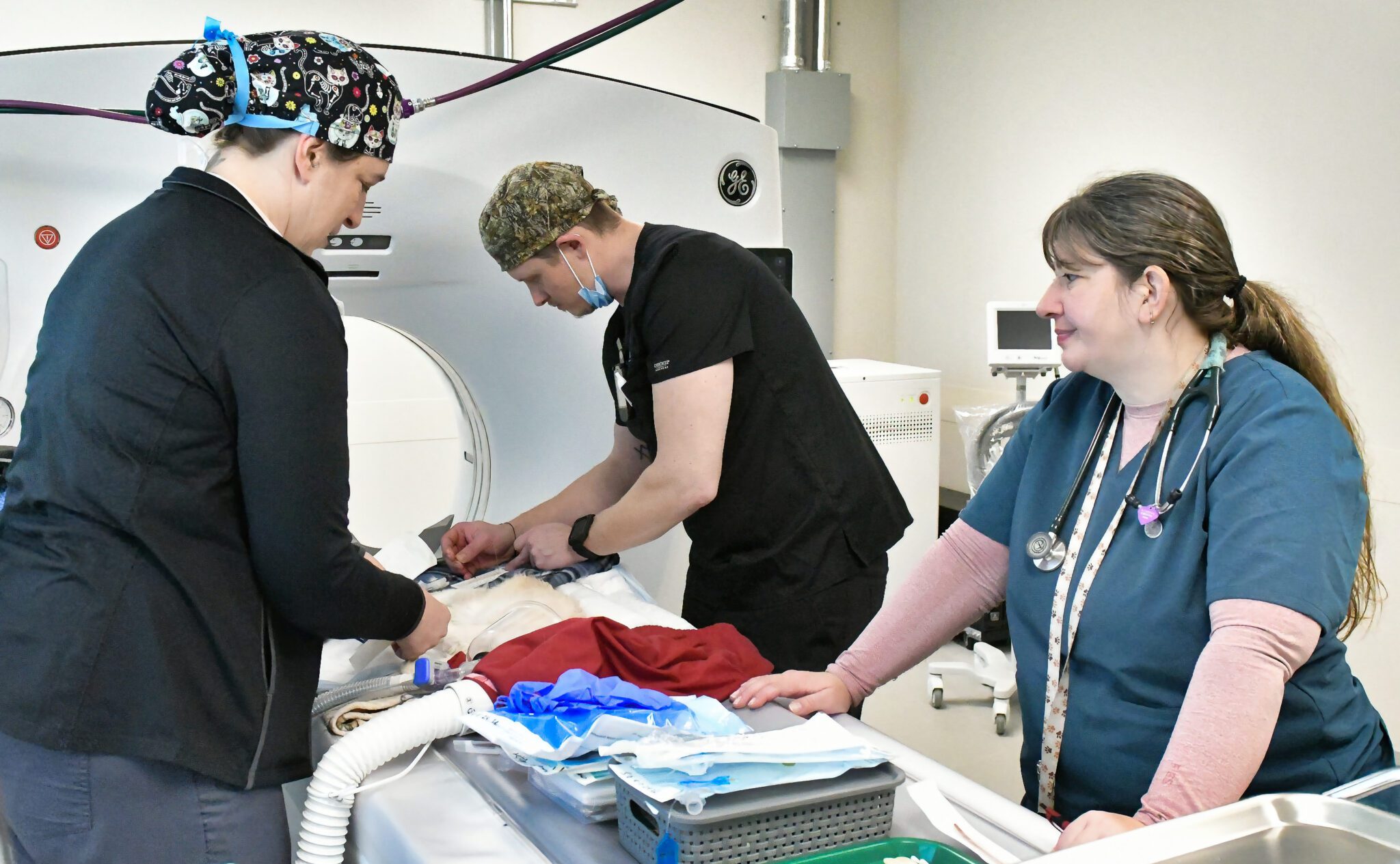Veterinary Specialty Care - Allied Veterinary Services