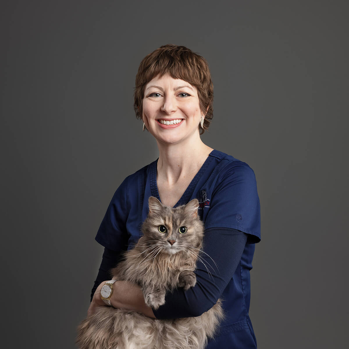 Meet the Allied Veterinary Services Team