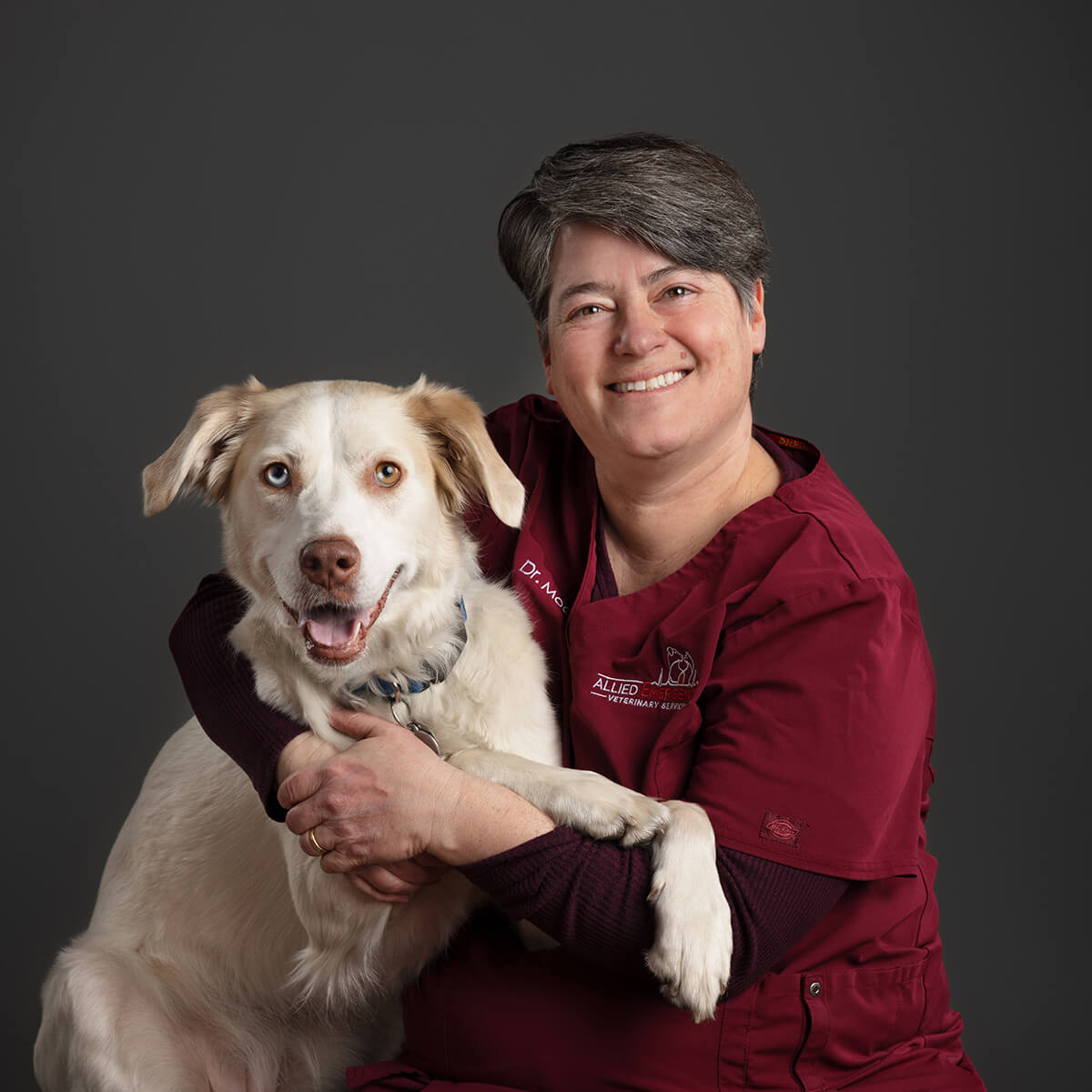 Meet the Allied Veterinary Services Team
