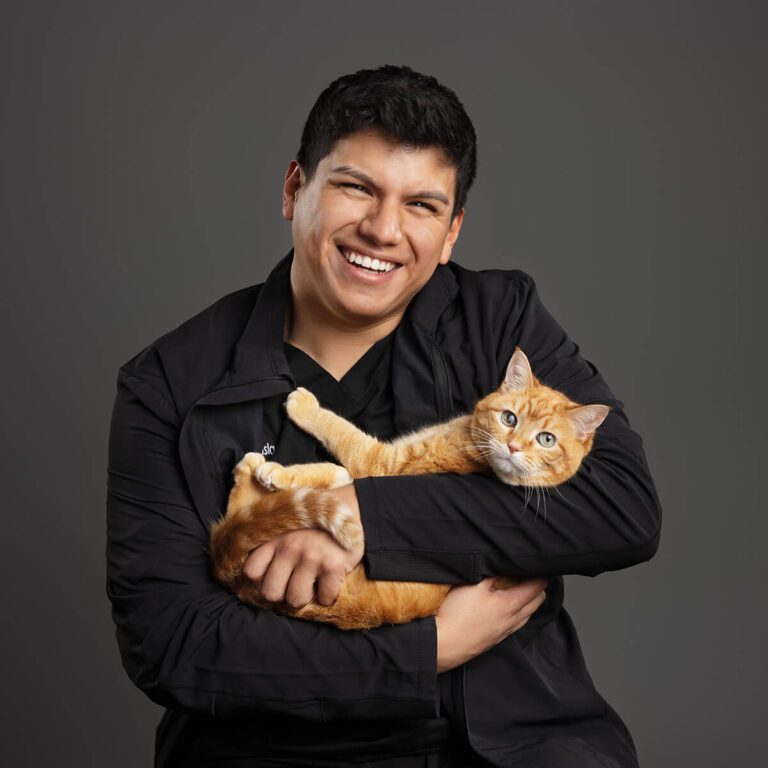 Meet the Allied Veterinary Services Team