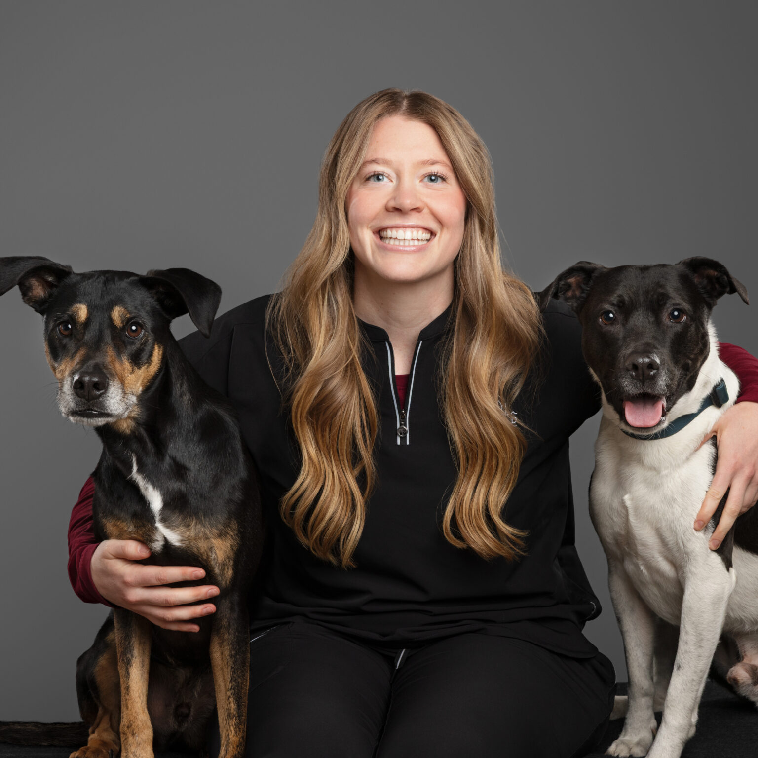 Meet the Allied Veterinary Services Team