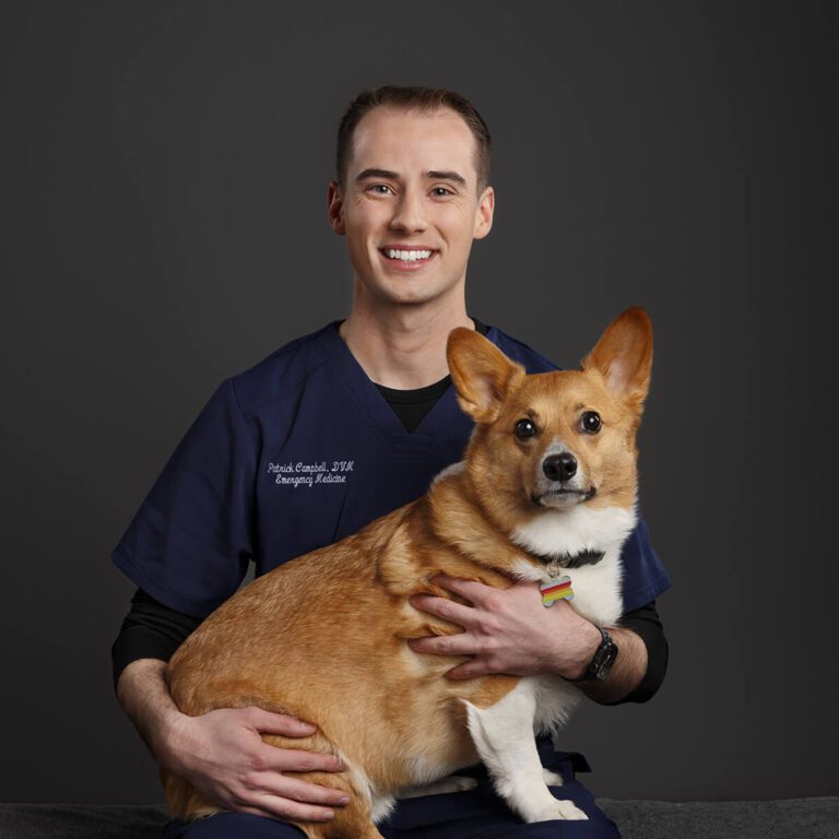 Meet the Allied Veterinary Services Team