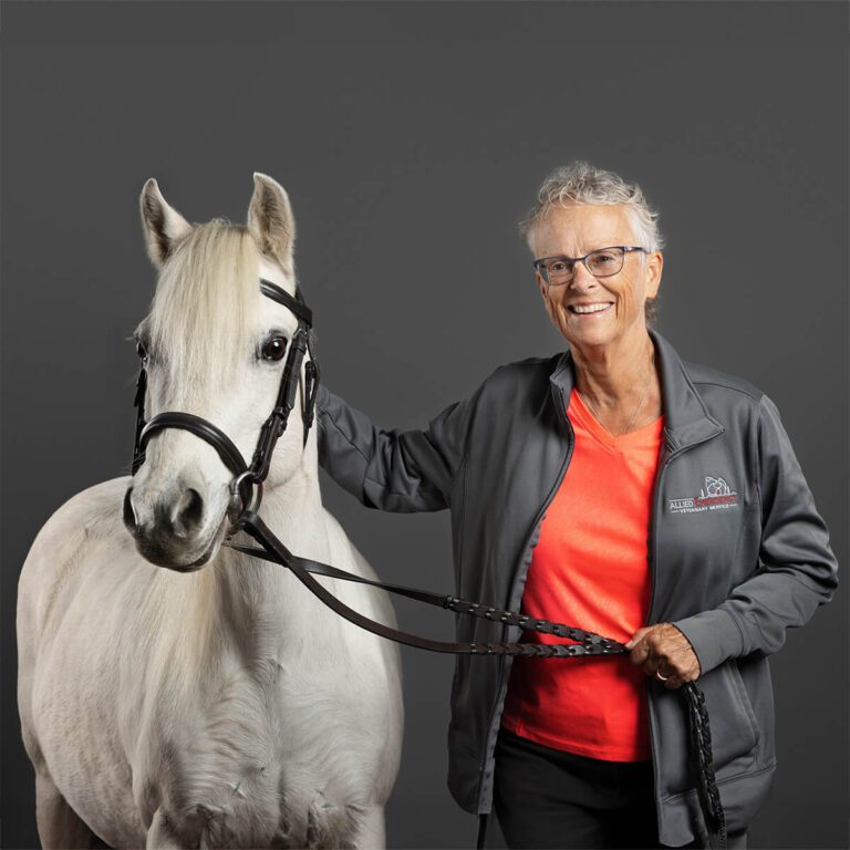 Meet the Allied Veterinary Services Team