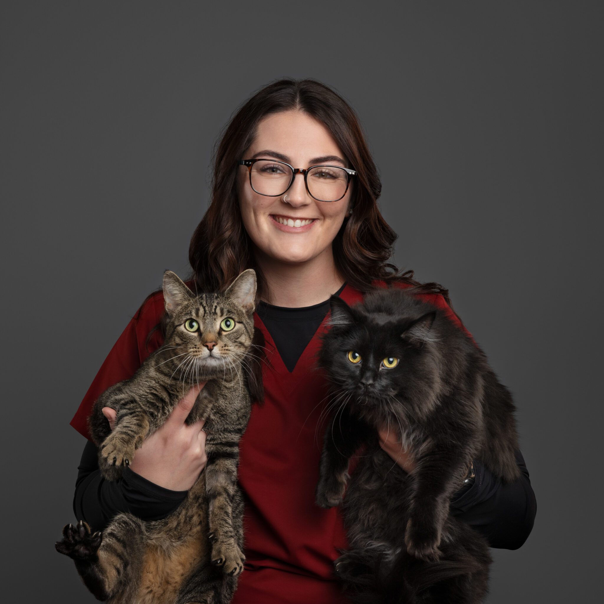 Meet the Allied Veterinary Services Team