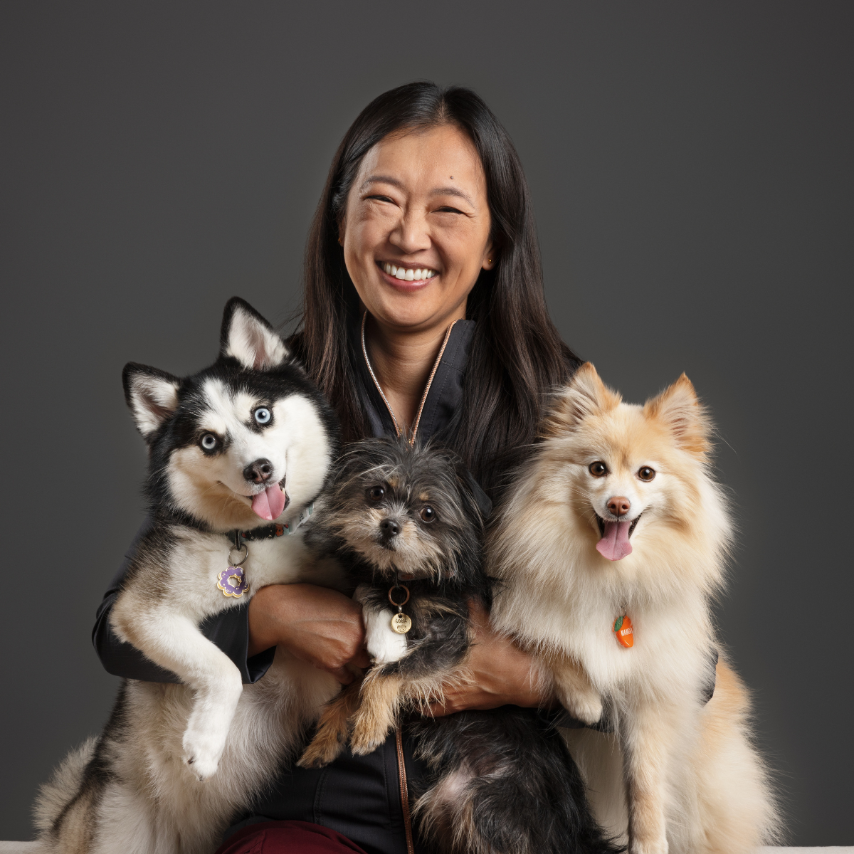 Meet the Allied Veterinary Services Team